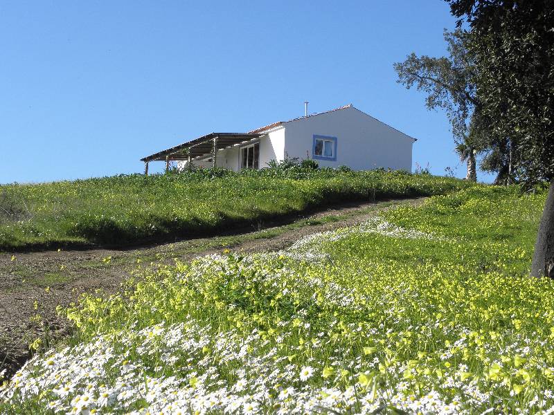 February in the Alentejo at Monte Horizonte Monte Horizonte - Eco ...