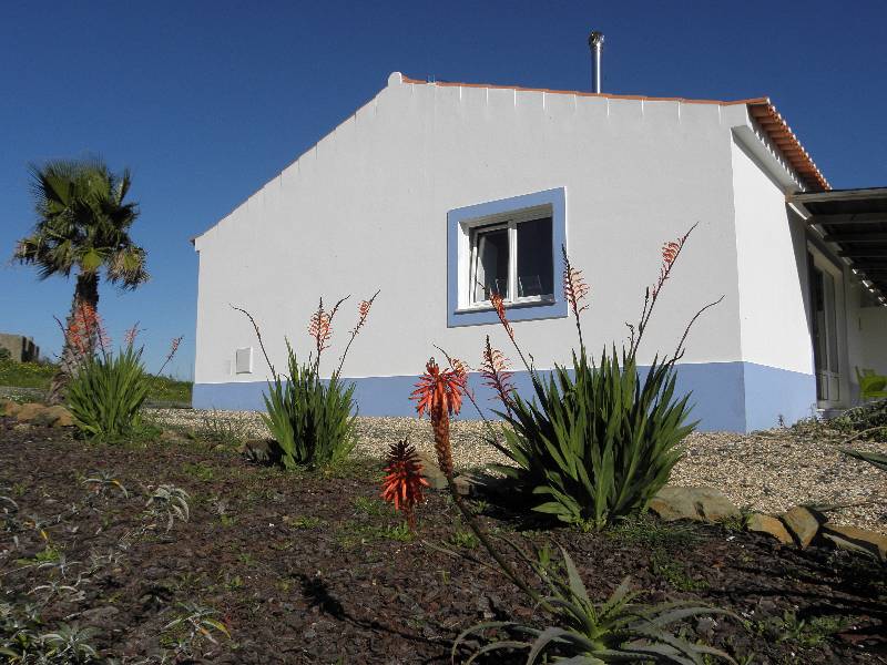 February in the Alentejo at Monte Horizonte Monte Horizonte - Eco ...