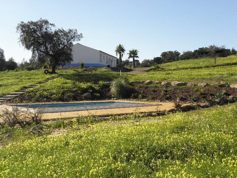 February in the Alentejo at Monte Horizonte Monte Horizonte - Eco ...